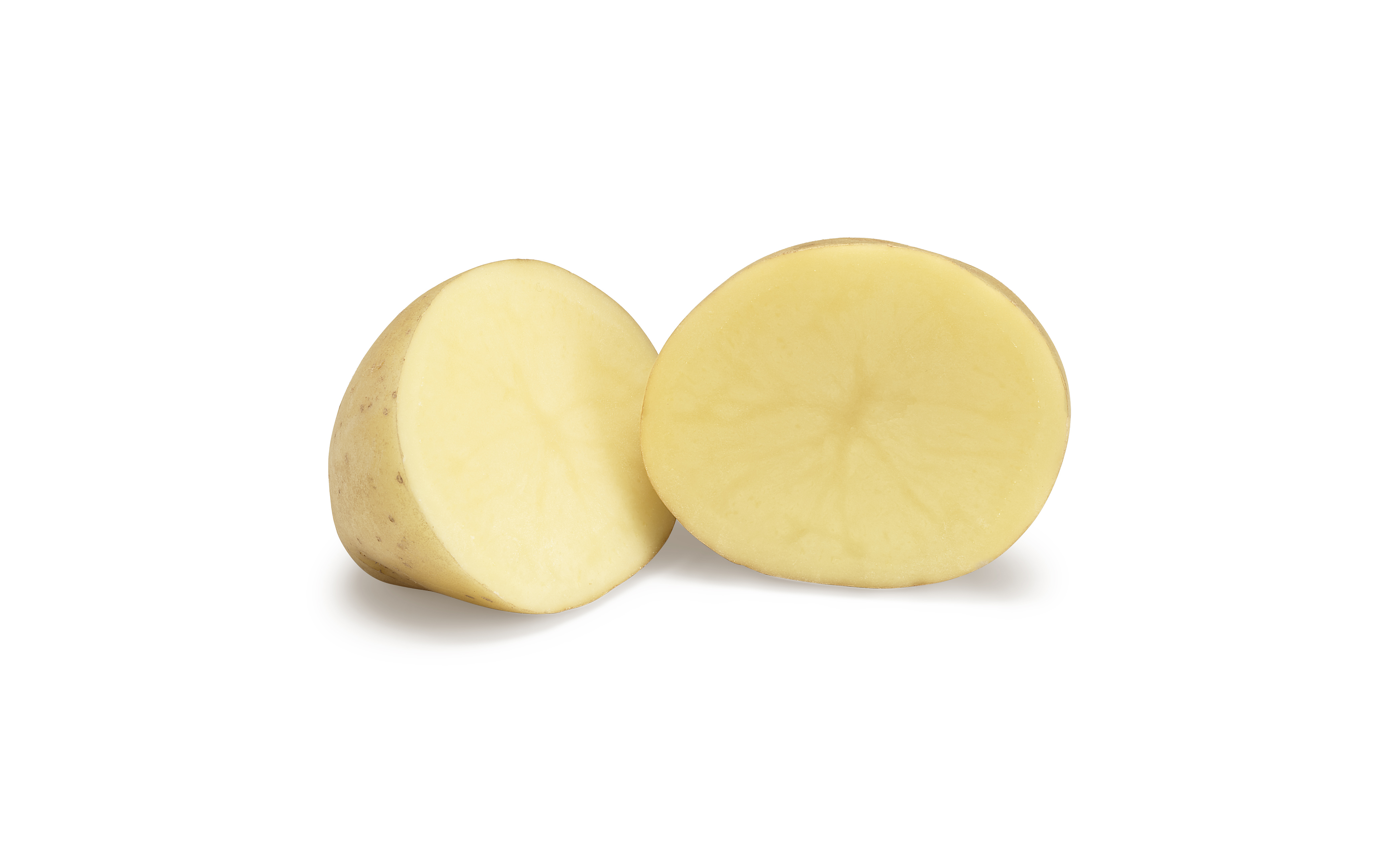 Riviera | An Agrico potato variety