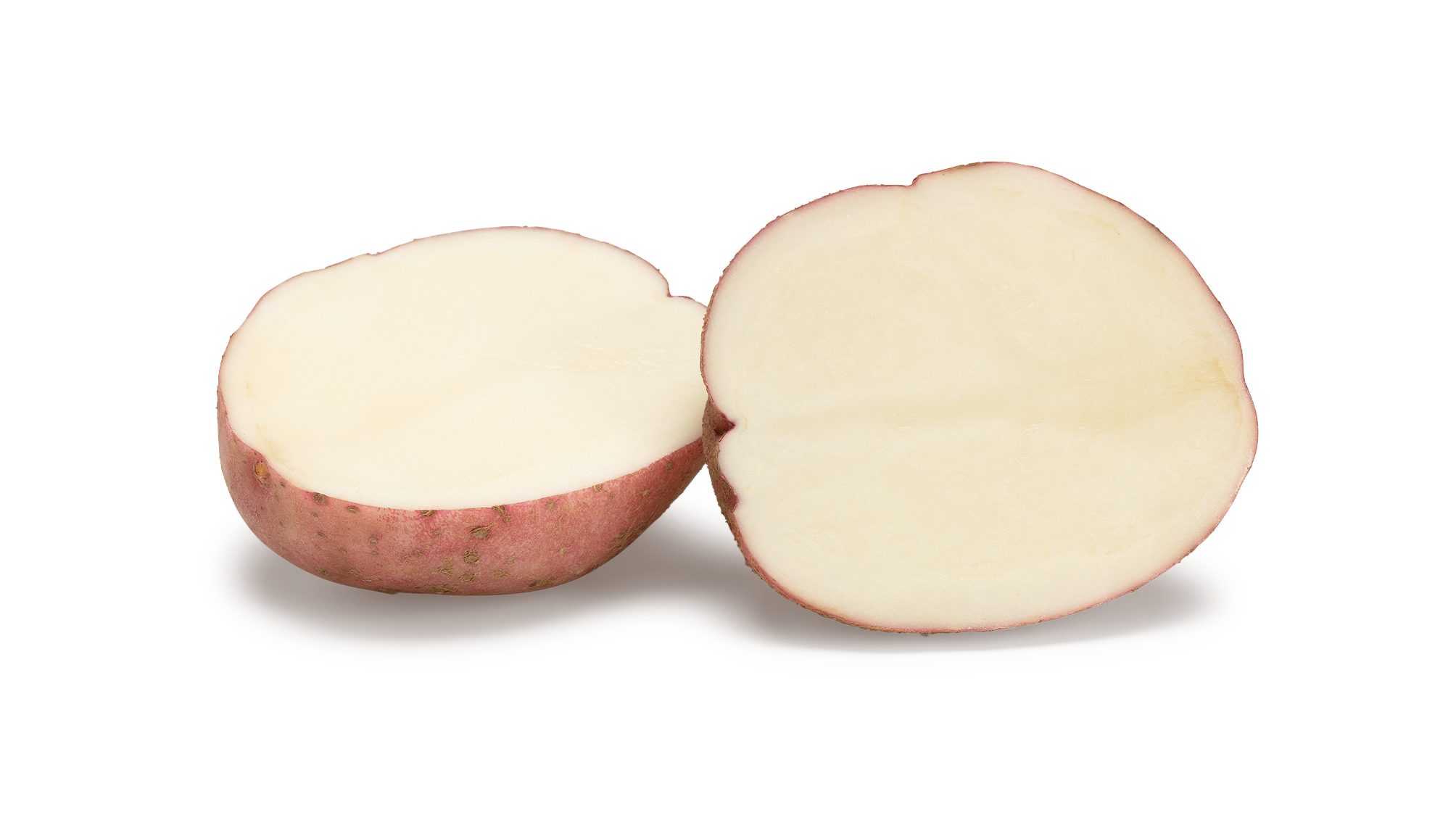 Rudolph | variedade de batata da Agrico