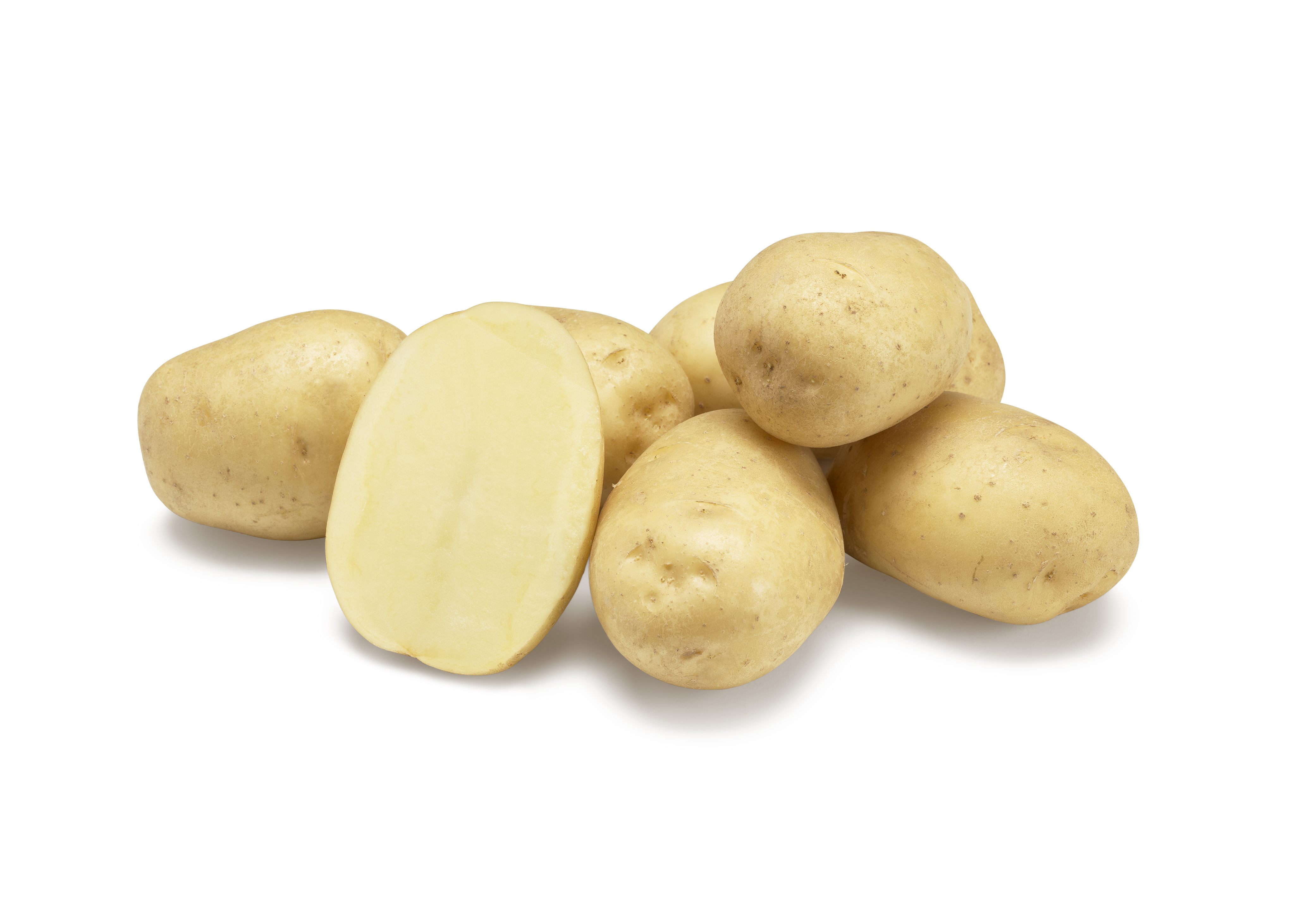 Agata | Agrico innovative in potato varieties