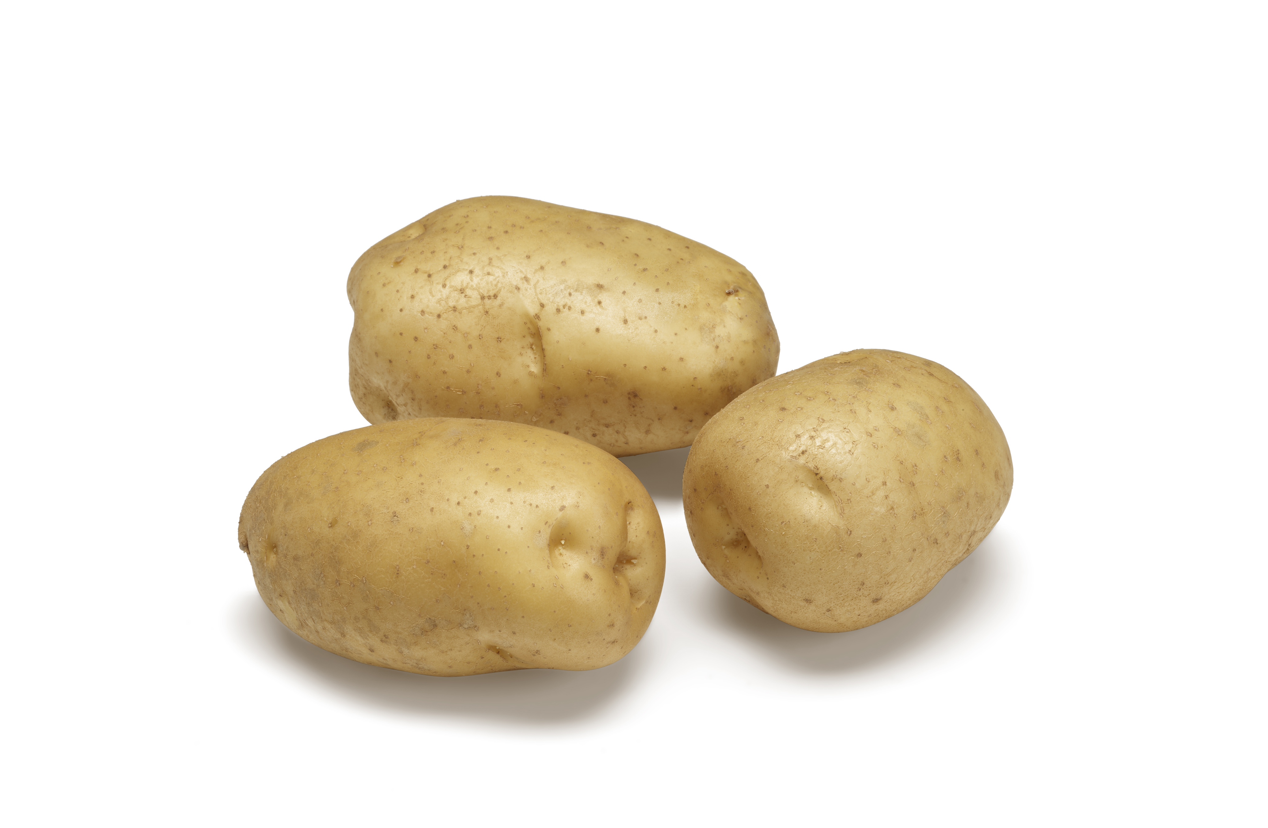 Diamant | An Agrico potato variety