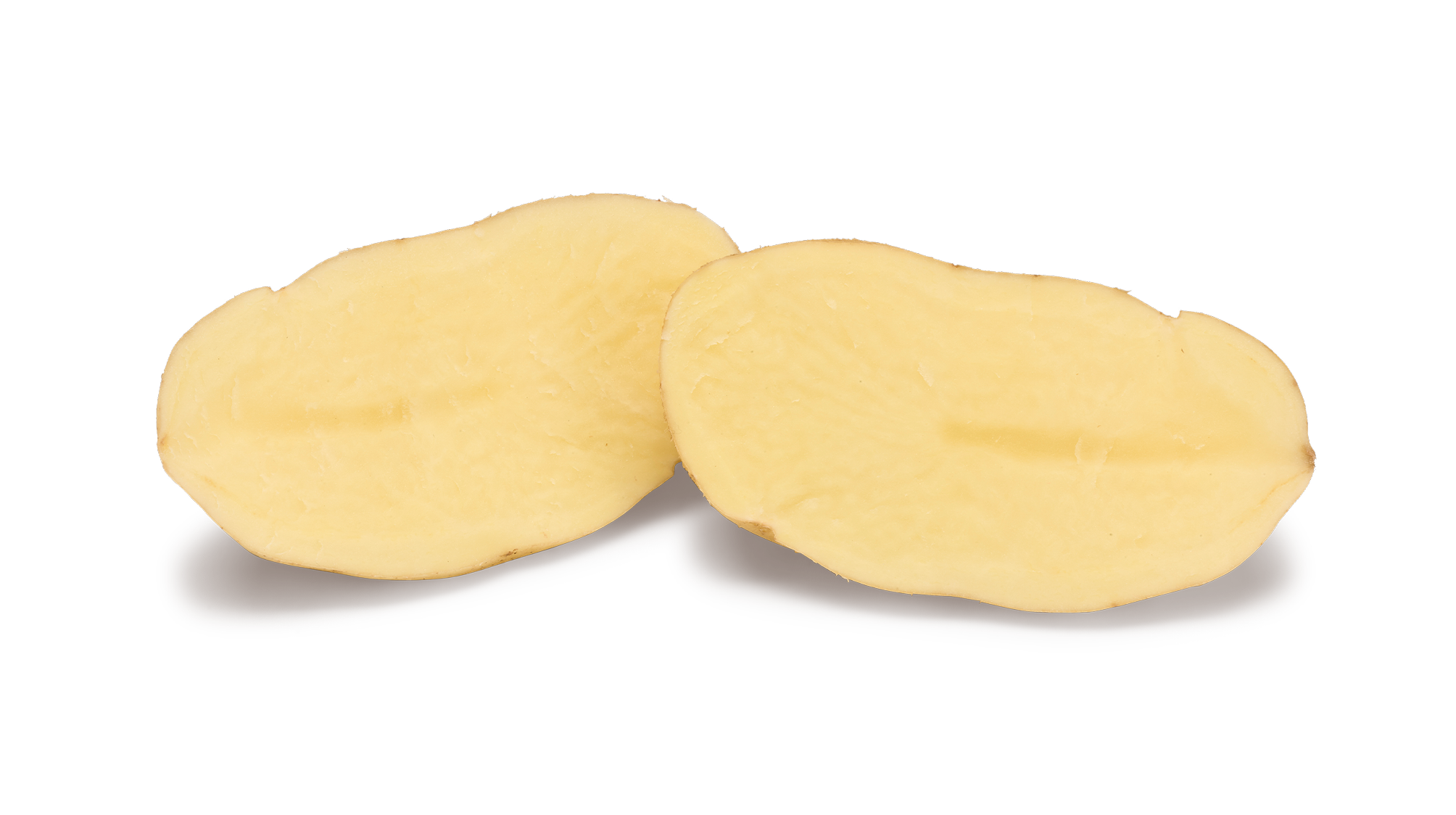 Spunta | Variedad de patata Agrico España