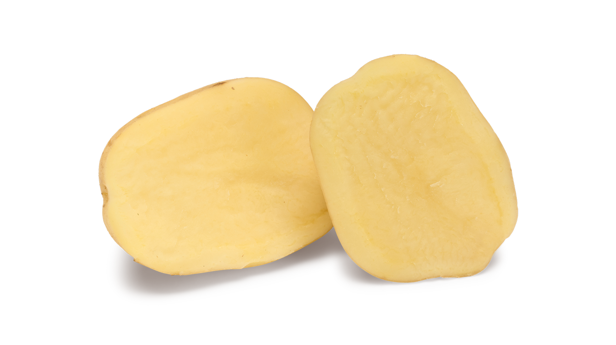 Adato | variedade de batata da Agrico