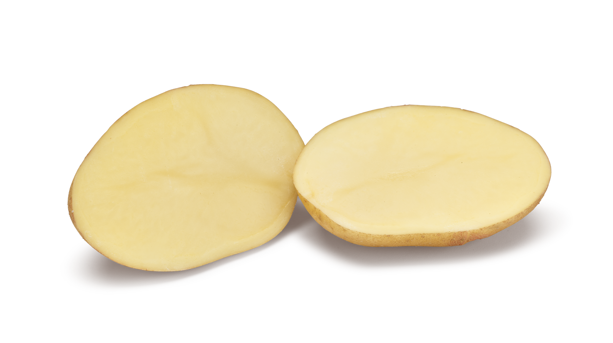 Picasso | An Agrico potato variety