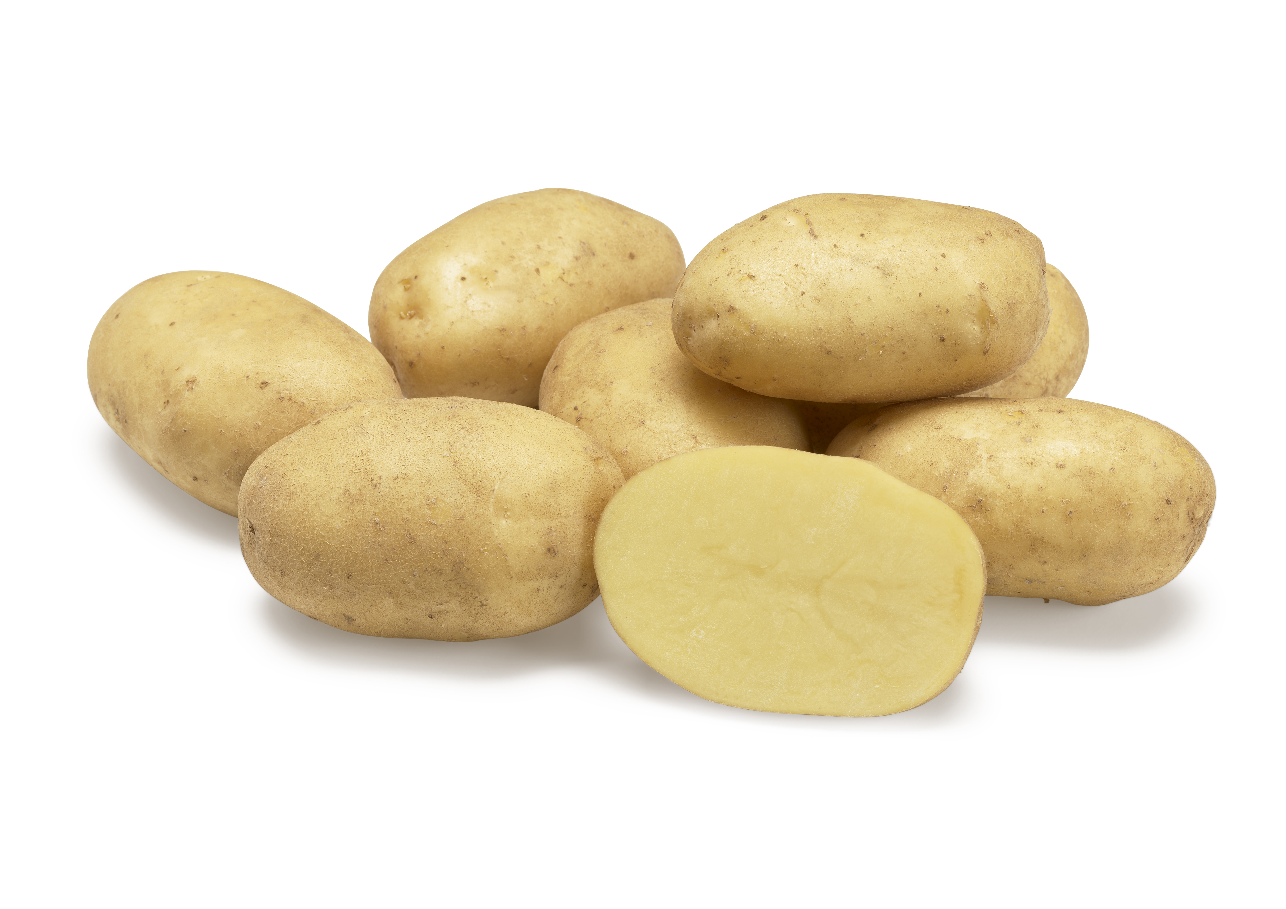 Excellency, fresh market variety | Parkland Potato Varieties