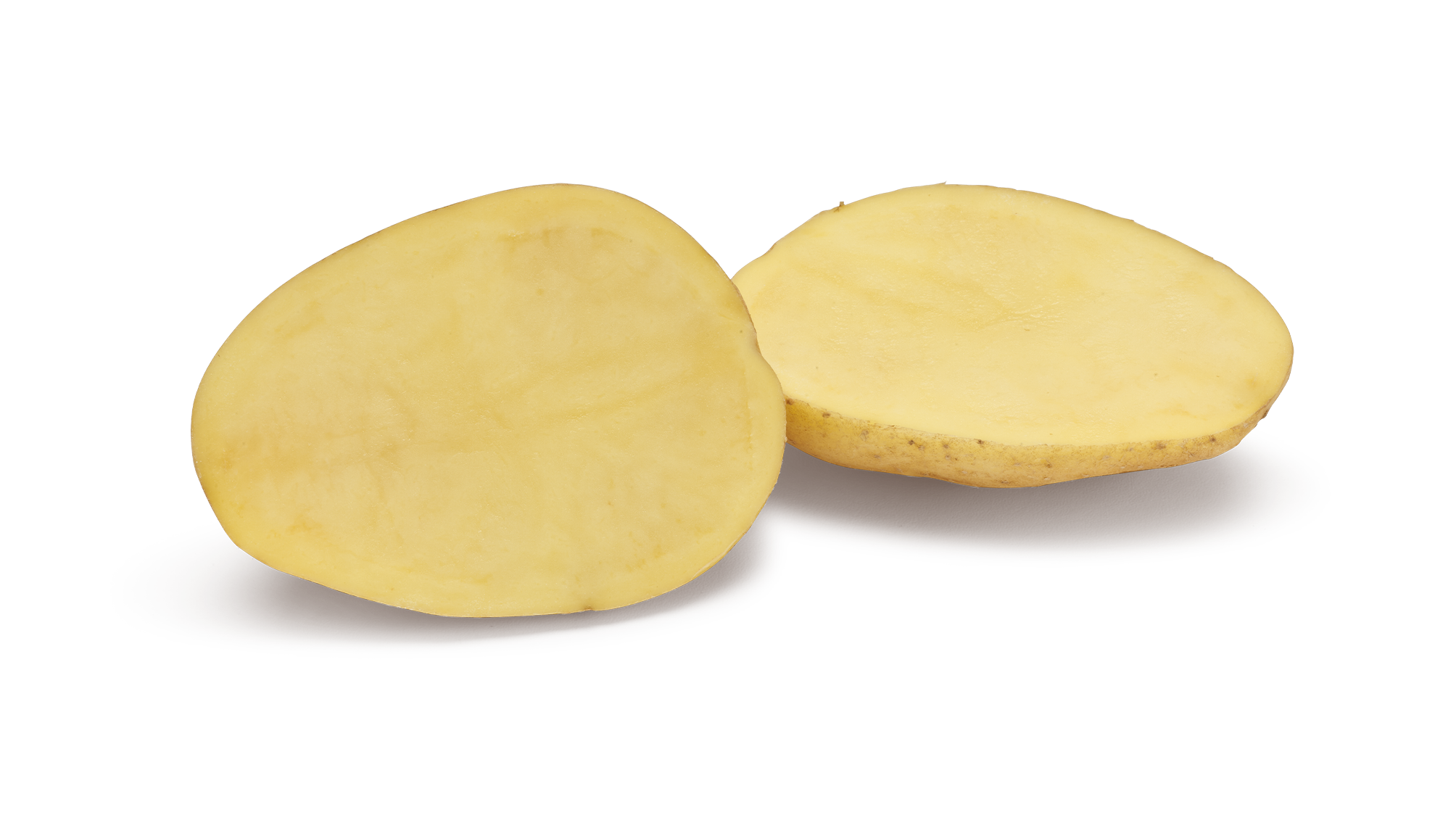 Milva | Variété de pomme de terre Agrico