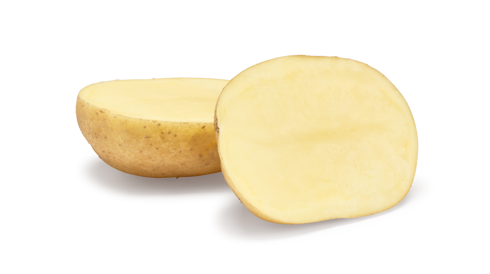 Agata | Agrico innovative in potato varieties