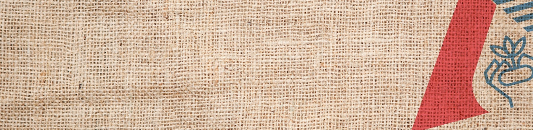 Spunta | An Agrico potato variety