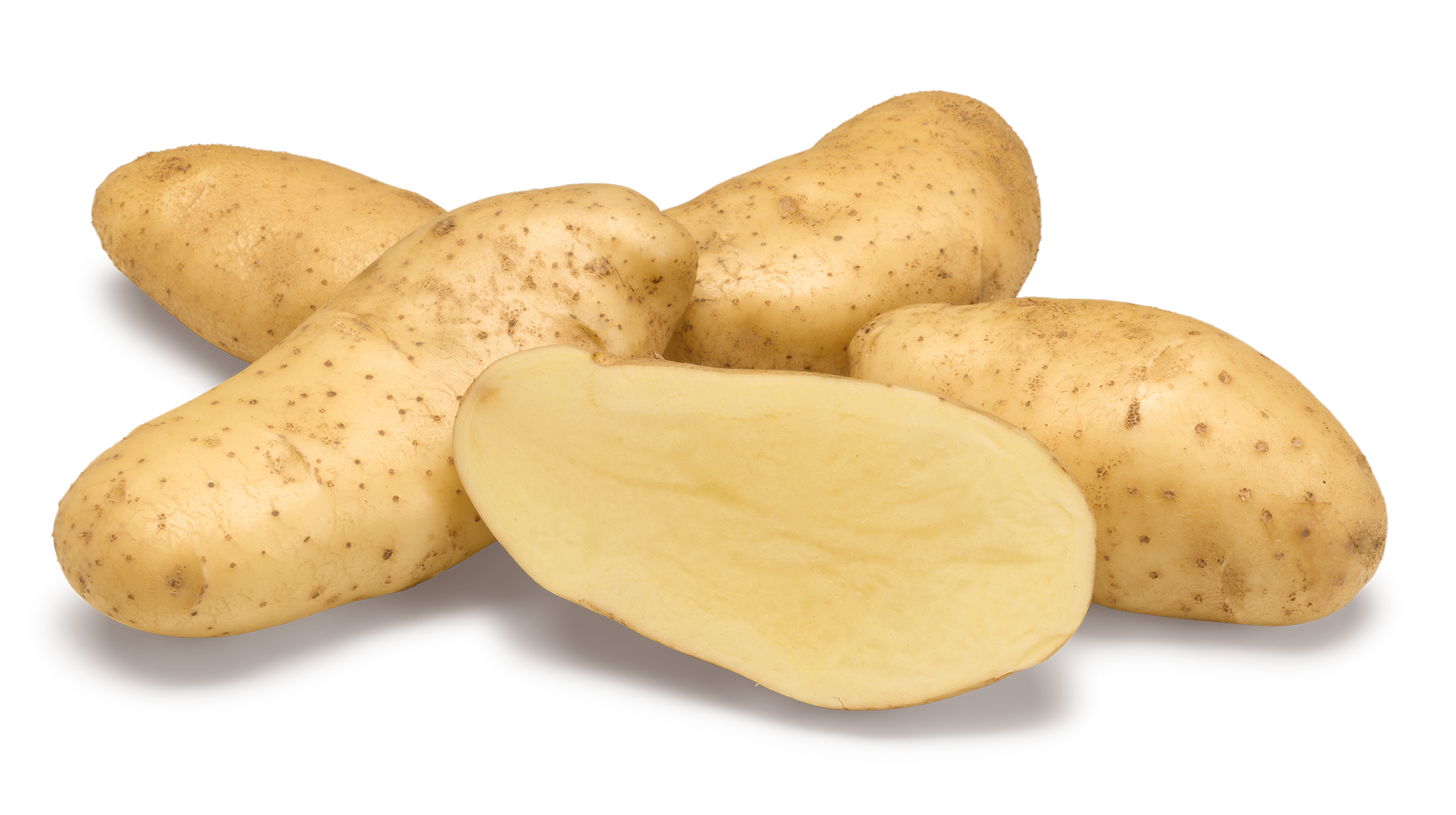 Spunta | Variedad de patata Agrico España