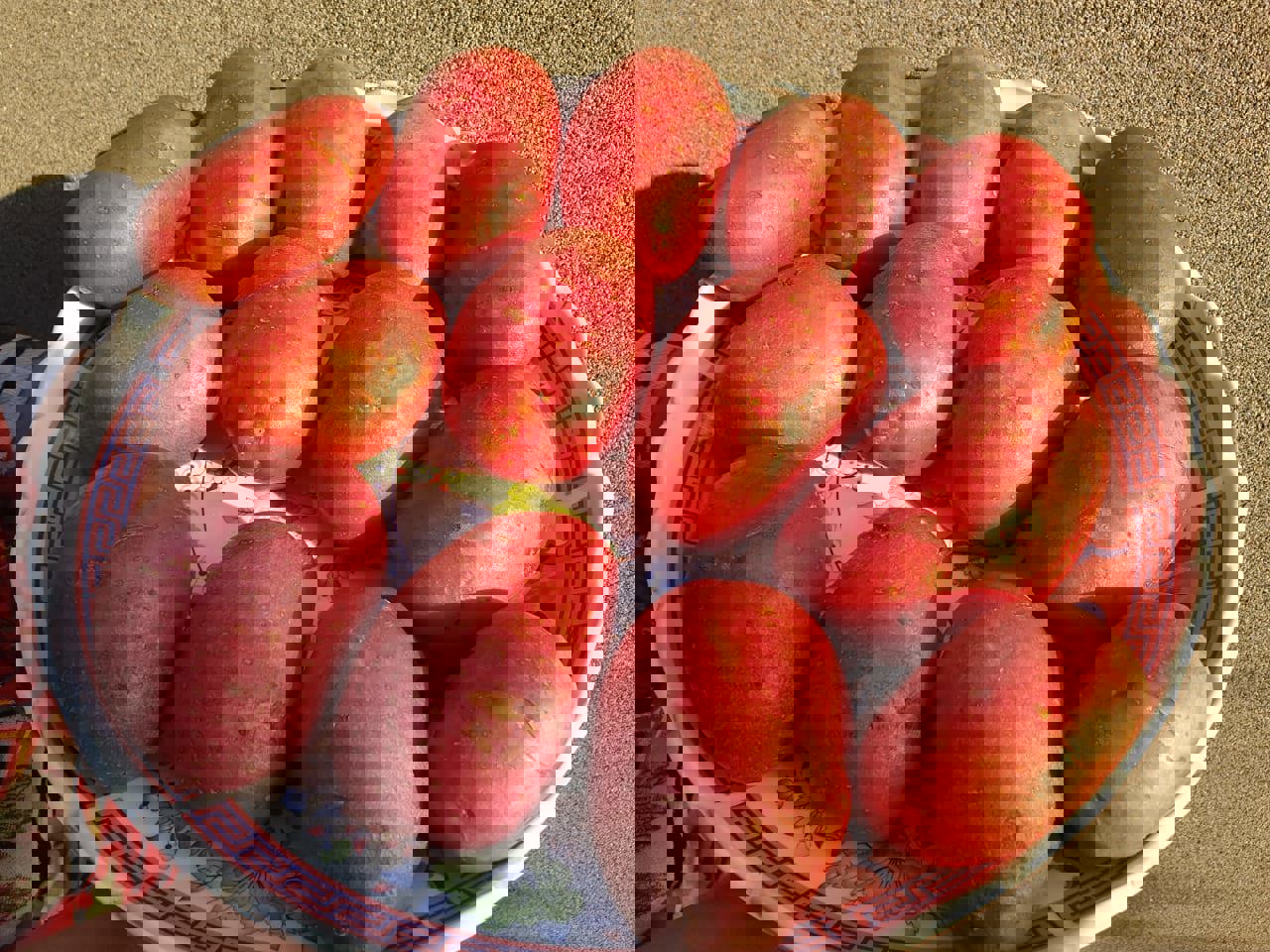 Successful cultivation of potatoes in Pakistan | Agrico article